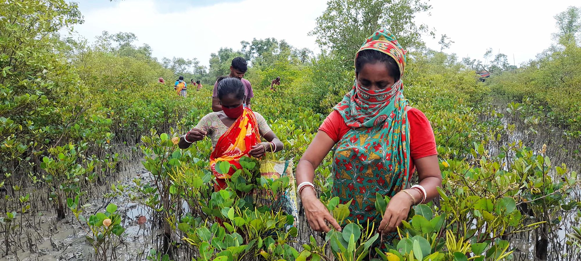 How a Blind Visionary and Women of Jharkhali Are Saving Their Villages ...