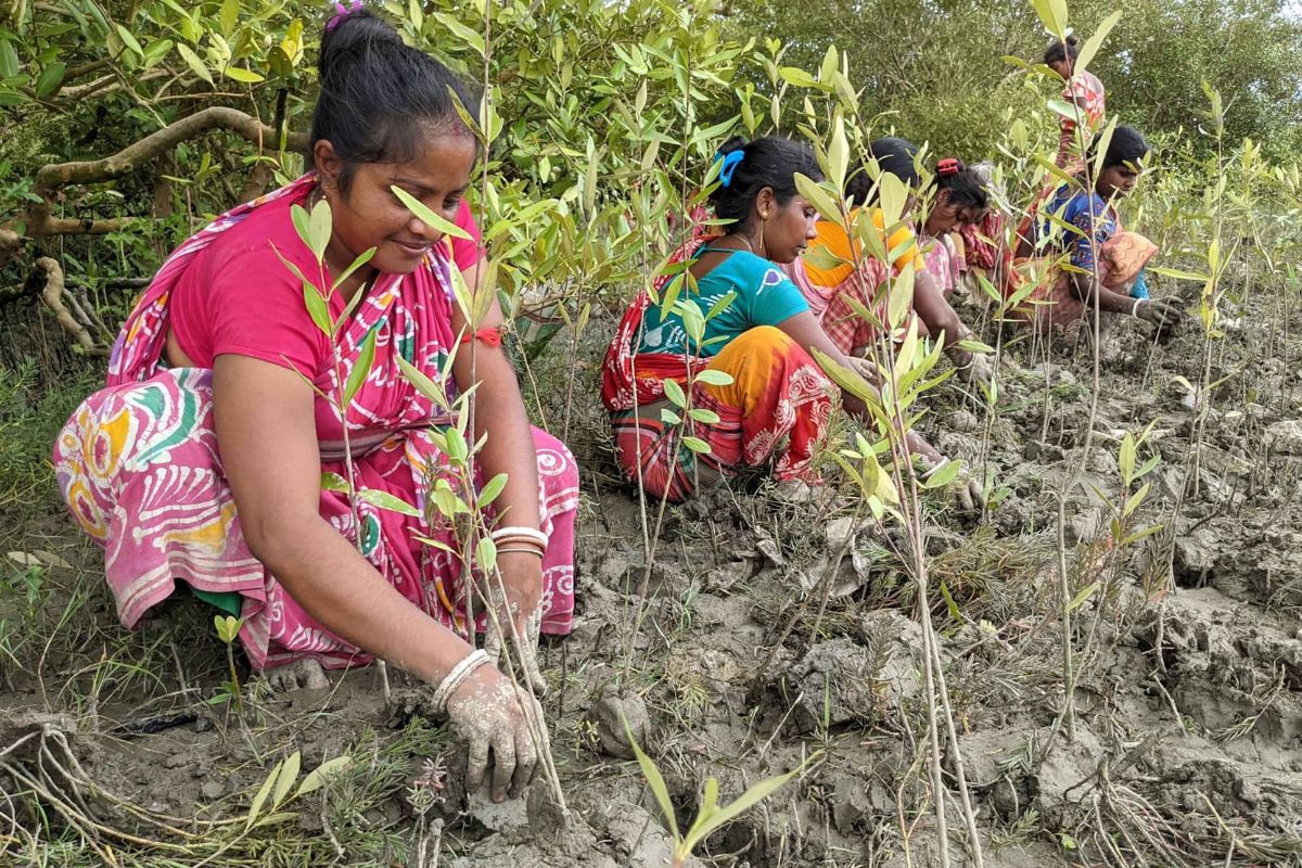 How a Blind Visionary and Women of Jharkhali Are Saving Their Villages ...